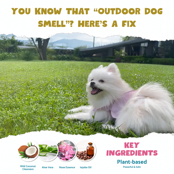 ZOOMY BABY (Pawlgari Scent) – Deep Cleansing Shampoo for Active Dogs ...